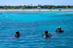 Visiter l'Atoll de Rangiroa en Polynésie - Travel Me Happy - Blog voyage